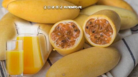 10 beneficios del tumbo peruano, para qué sirve y cómo se consume