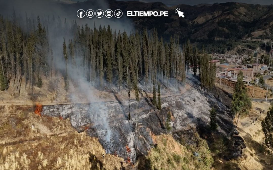 ¿Cómo sacar cita en el INEN - Instituto Nacional de Enfermedades ...